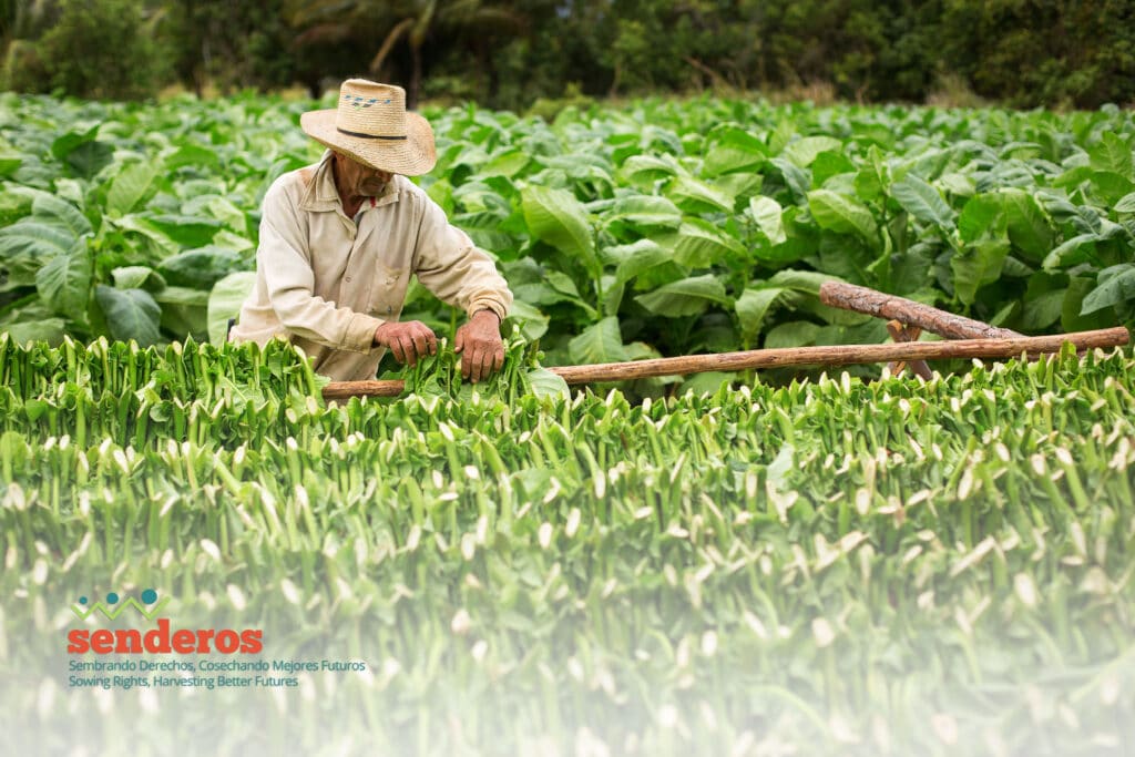 We Take Aim at Serious Problems: Child Labor, Forced Labor, Human ...