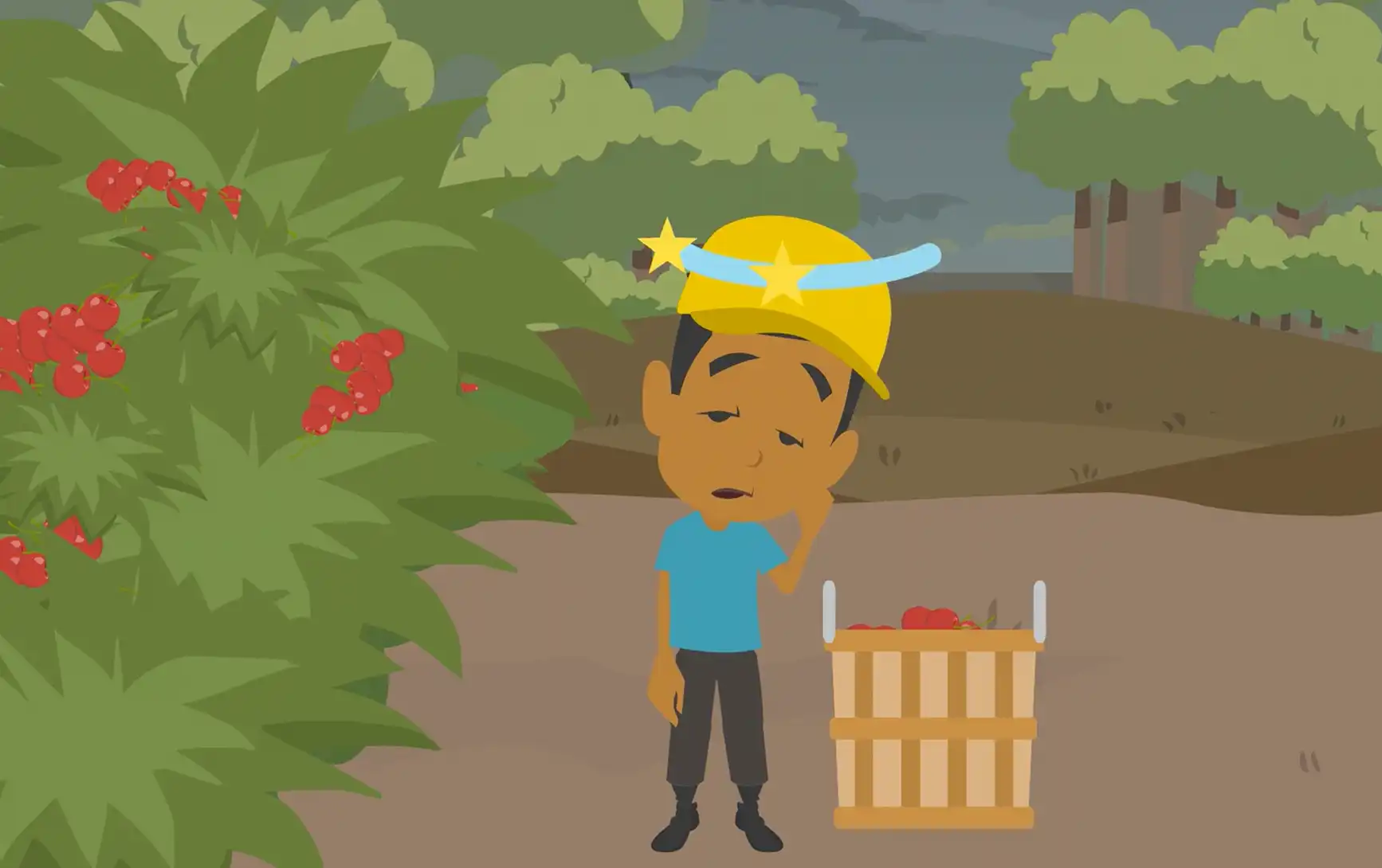 What is child labor in the coffee farming sector? - Verité